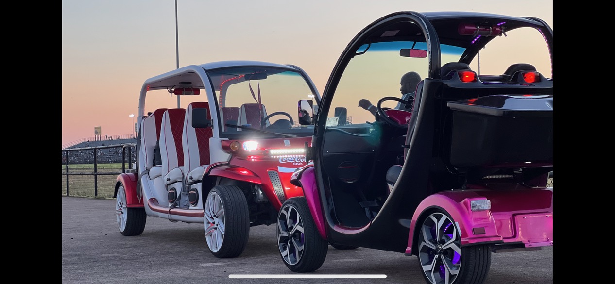 KING CARTS RENTAL » OUR FLEET